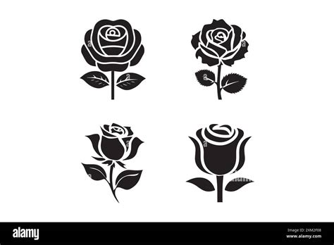 Rose Vector Image Stock Vector Image Art Alamy