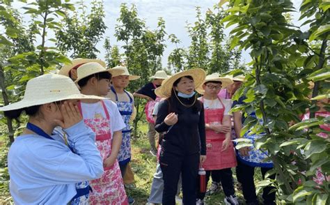 质量兴农助力乡村振兴——生命科学技术学院开展乡村振兴科技惠农系列服务活动 湖北工程学院新闻网