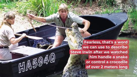 Influencer Apologises For Dressing Up As Stingray That Killed Steve