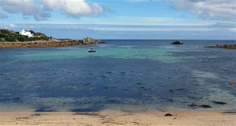 Zbulohet Një Specie E Re Deti Në Ujërat E Mbretërisë Së Bashkuar Inlajmi