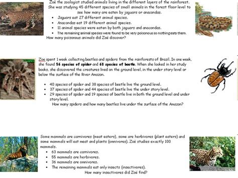 Rainforest Maths Primary Mathematics
