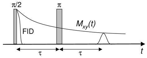 4 hahn spin echo pulse sequence download scientific diagram