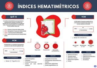 Manual De Interpretación De Hemogramacompdf 1pdf