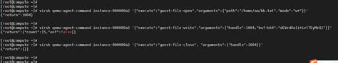 Qemu Guest Agent