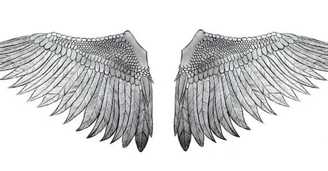 Wings To Fly Album On Imgur