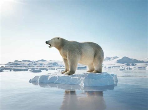 Ecosystem Interaction Of Living Organisms And Their Physical Environment