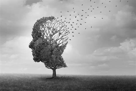 Preventing And Reversing Cognitive Decline Functional Medicine Dallas Carpathia Collaborative