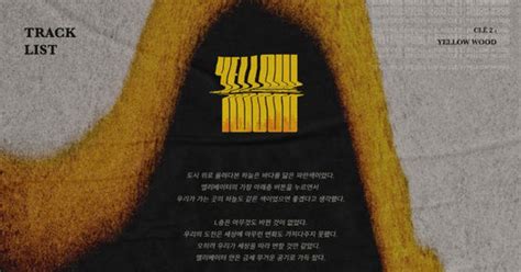 스트레이 키즈 스페셜 앨범 타이틀곡은 부작용 전곡 작사·작곡 참여 [공식입장]
