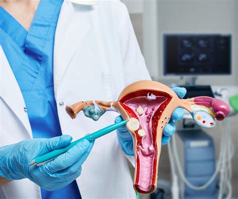 Myomectomy In Abu Dhabi Elyzee Hospital