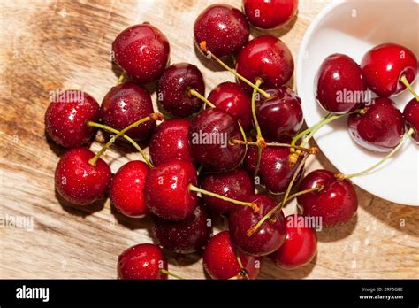 Wet Fresh Cherries Are Edible Harvested Sweet Cherries In Water