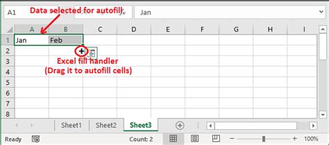 How To Do Data Formatting And Data Handling In Excel Atomcamp