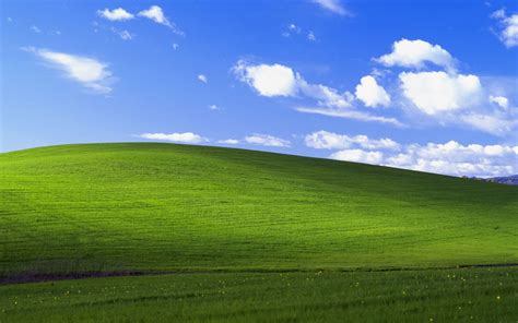 Windows系统内置壁纸大全Win2K Win11