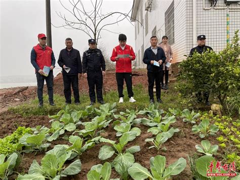常宁烟洲镇：禁种铲毒不放松，宣传踏查守净土 华声社区频道