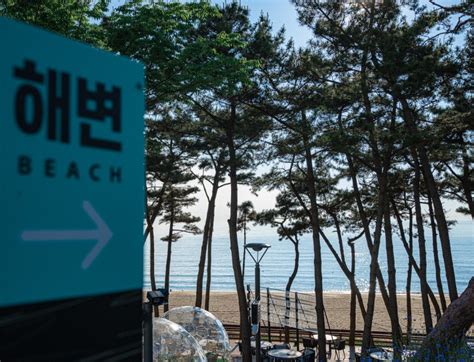 안면도 아일랜드 리솜 오션빌라스 G50 50평 복층형 객실 소개 네이버 블로그