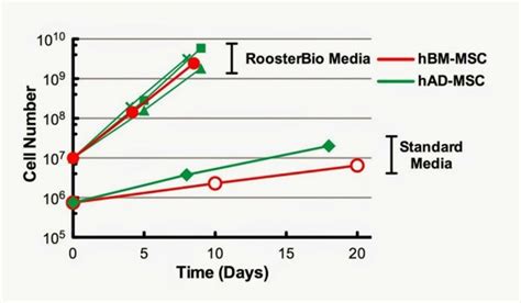 Differences In Adipose And Bone Marrow Derived Hmscs
