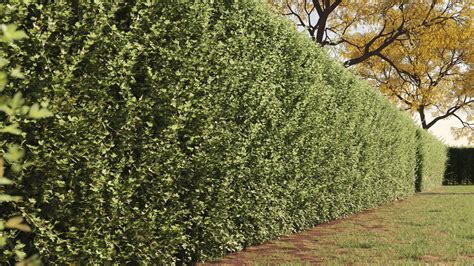 Vue Snippet Fetch And Render List List Use Case Rendering