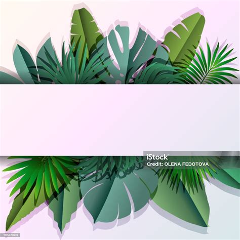 現代背景與熱帶棕櫚3d葉剪紙形狀向量圖形及更多具有特定質地圖片 具有特定質地 切斷 剪裁圖 Istock