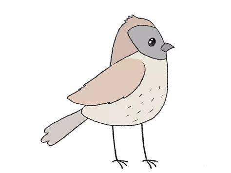 Как нарисовать воробья для детей Рисование