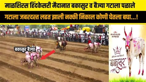 माळशिरस हिंदकेसरी मैदानात बकासुरच्या गटात जबरदस्त लढत झाली नक्की निकाल