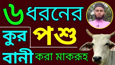 ৬ ধরনের পশু কুরবানী করা মাকরূহ Ll ৬ ধরনের পশু কুরবানি করতে নিষেধ করেছেন