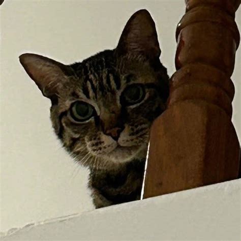 Wen Chun Chunwen Lo • Threads Say More