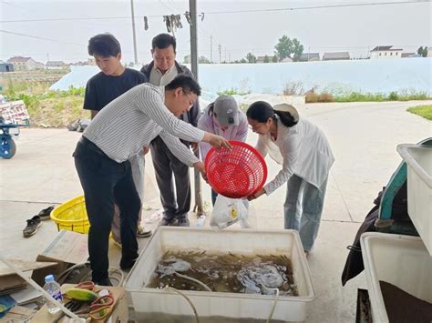 华东（盐城）农产品交易中心 亭湖区南洋镇：强化夏季水产品“源头”抽检，确保群众“舌尖上的安全”