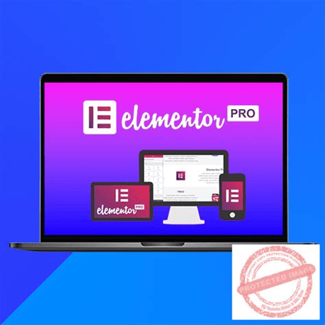 Elementor Pro Plugin License Key Activation Auto Update