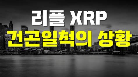 리플 이럴 줄 알았으면 강원랜드를 진작 갔지 Youtube
