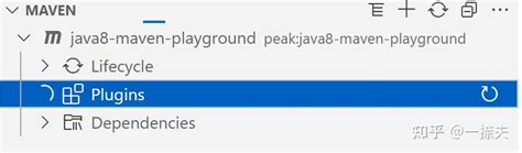 Vscode Intellij Idea Java