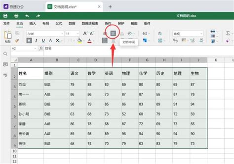Excel表格文字居中怎么设置 Excel怎么表格居中 正数办公