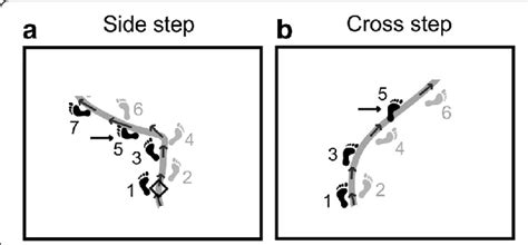 Examples Of Stepping Strategies A Side Step Strategy B Cross Step
