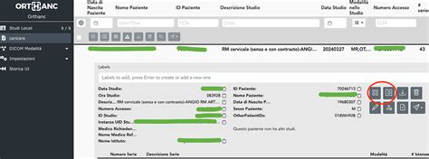 Customization Explorer And Ohif General Orthanc Users