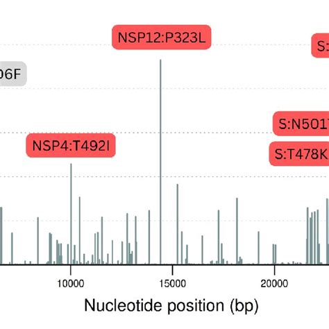 Amino Acid And Nucleotide Substitutions Associated With Sars Cov 2 Download Scientific Diagram