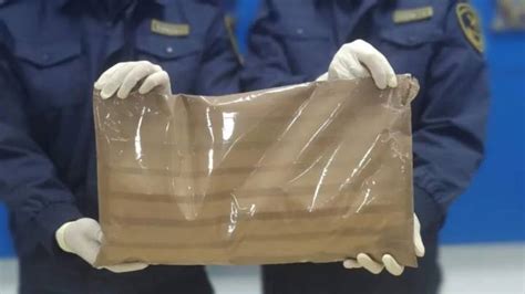 海关查获1批新型毒品丧尸药 极目新闻