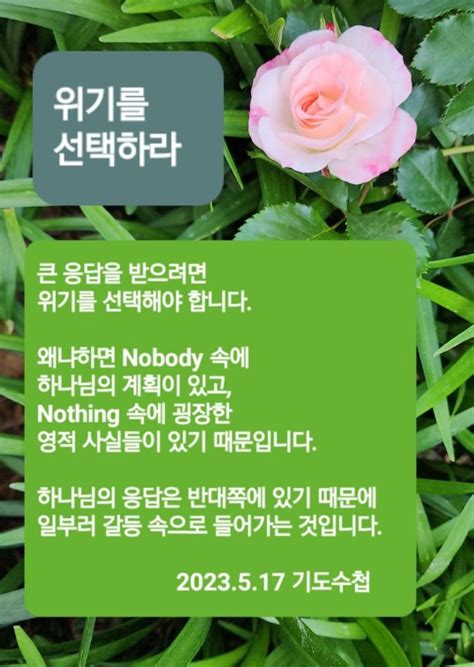 10가지 비밀 위기를 선택하라 호스피스 치매예방