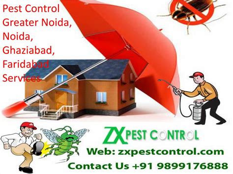 Ppt Insects Or Pest Control Greater Noida Noida Ghaziabad