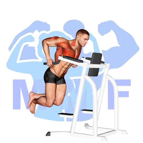 Weighted Tricep Dips Your Effective How To Guide