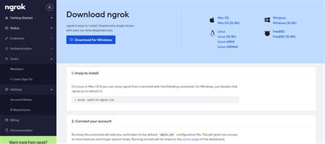 Tunneling Using Ngrok What Why And How To Dev Community