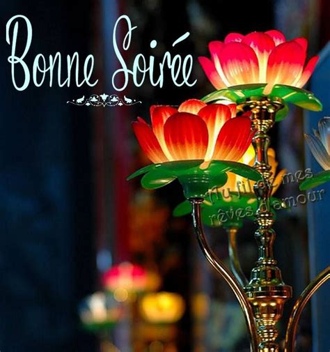 Bonne Soir E Image Bonne Soir E Tags Fleurs Lampe Partager