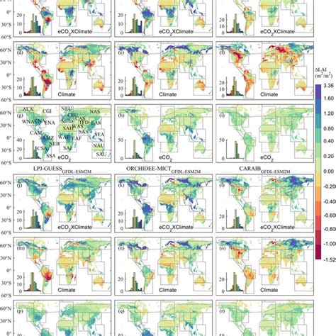 Spatial Pattern Of The Partial Correlation Coefficient Between Leaf