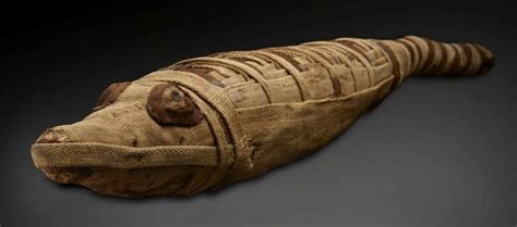 Ancient Egyptian Animal Mummies Historic Mysteries