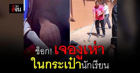 ช็อก งูเห่า ในกระเป๋านักเรียน เรียนไปครึ่งวันแล้วเพิ่มรู้ อีจัน