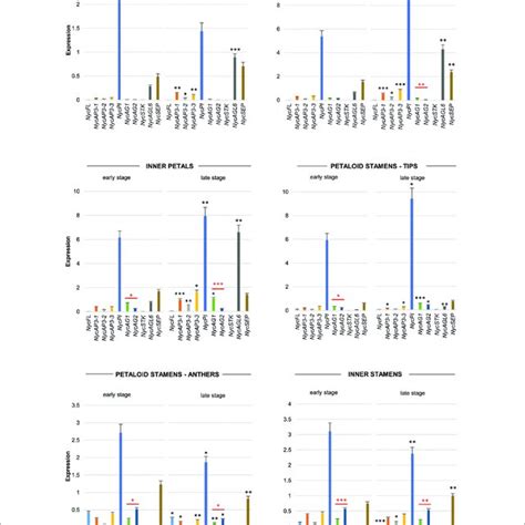 Mads Box Gene Expression In The Various Floral Components And Flower