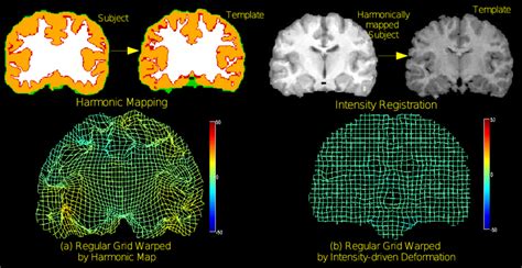 A Illustration Of The Extrapolation Of The Surface Mapping To The 3d
