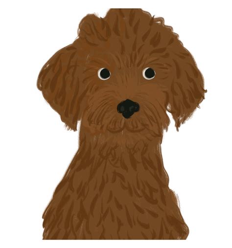 Pooch Collection Dots And Doodles Design
