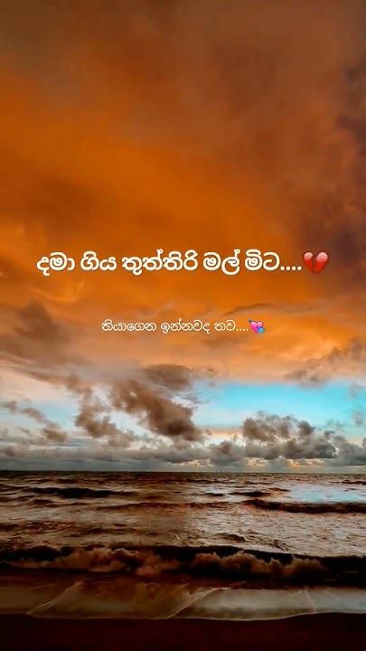 දමා ගිය තුත්තිරි මල් මිට 💔💔 Trending Youtube