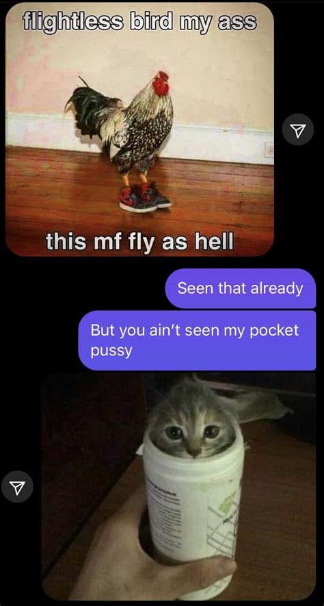 Pocket Pussy” Rplottwist