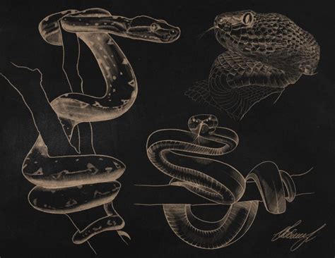 Pencil Drawing In Procreate Collage