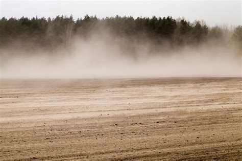 Premium Photo Field During Strong Winds