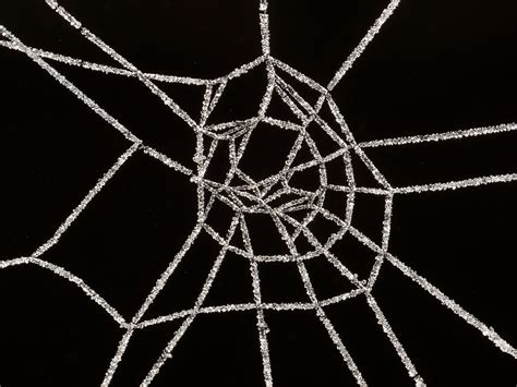Wicked Problems — Thunderhead Works
